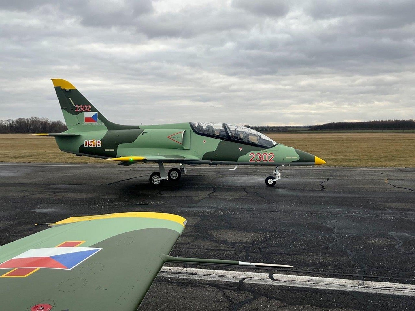 Vietnam is first nation to integrate new L-39NG trainer jets - Airforce ...